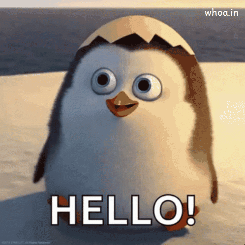Hello Gifs -Hi Gifs - Funny Hello GIF-Get The Best GIF Giphy